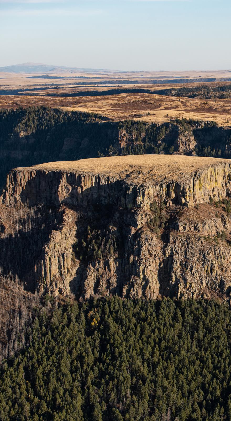 Newsletter | Great Outdoors Colorado